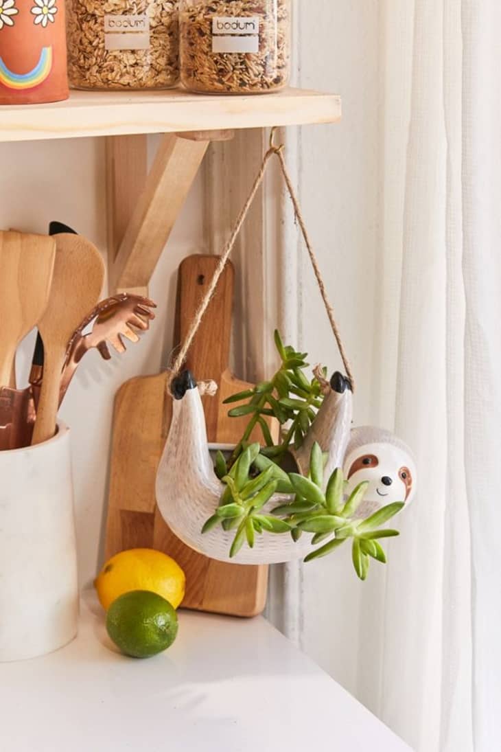 8 Cheerful Colorful Planters To Brighten Your Space Apartment Therapy